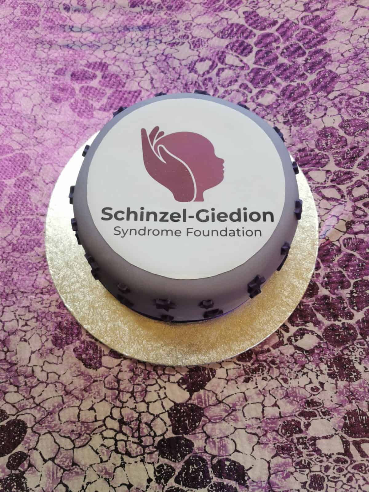 International SGS Awareness Day - Schinzel-Giedion Syndrome Foundation